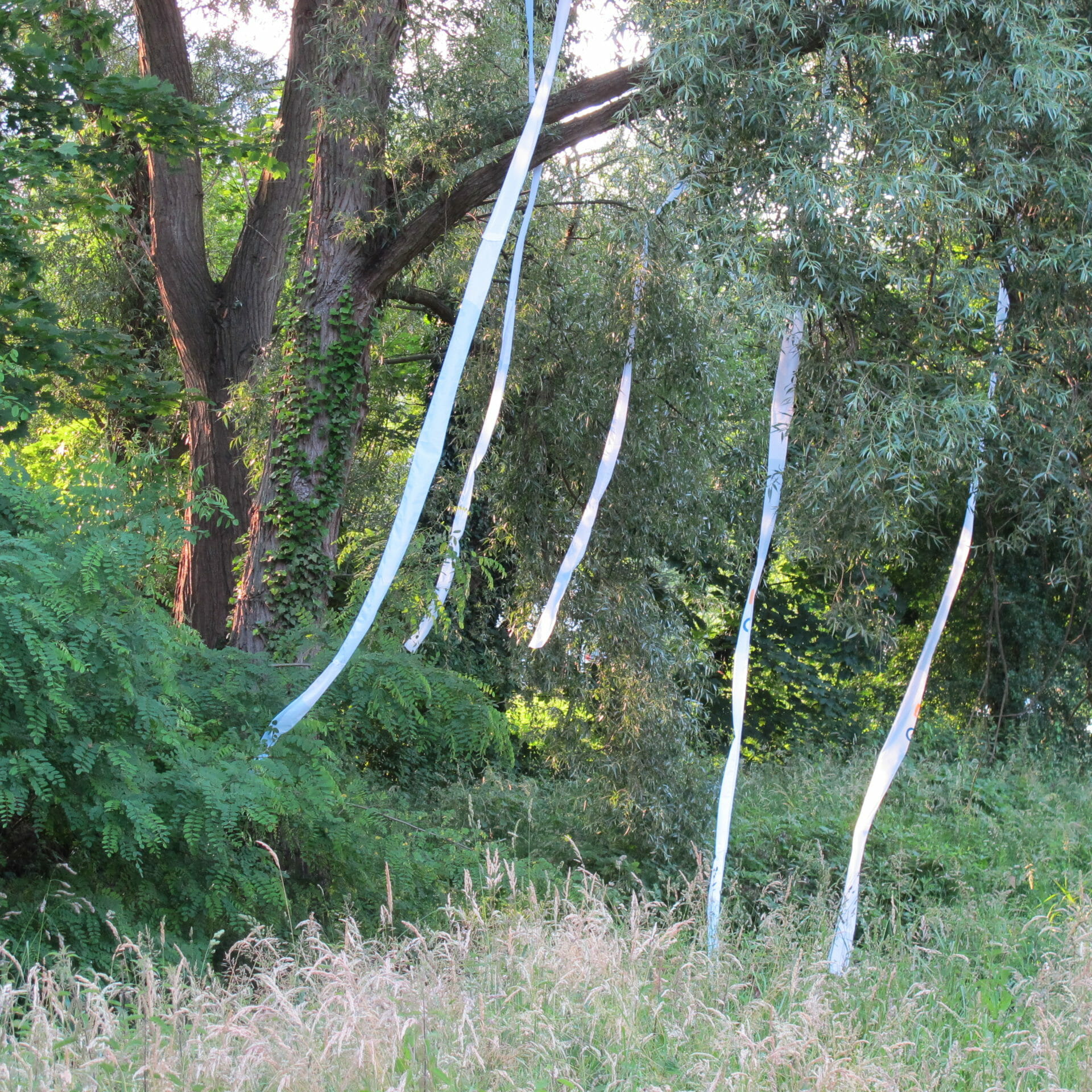 balade guidée - Hameau de Roodebeek – Les Ateliers de la rue Voot